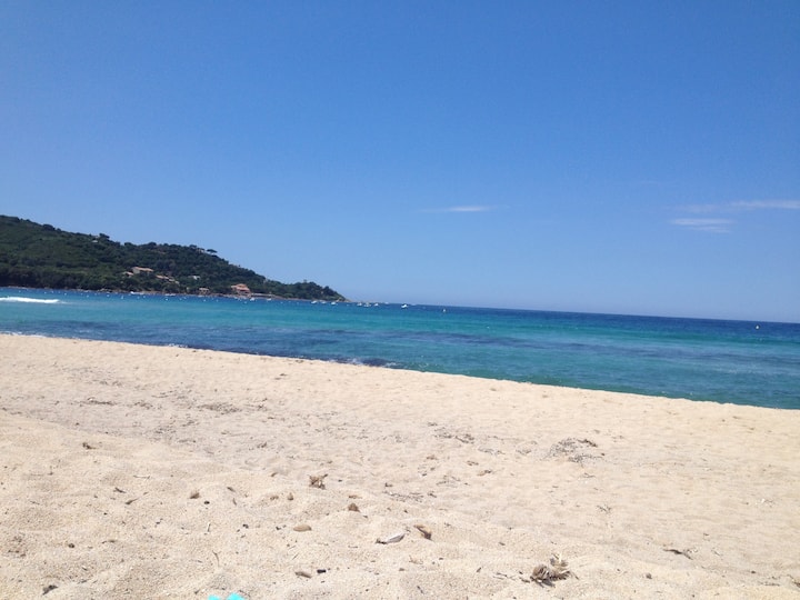 Corse Du Sud - Résidence Piscine - 100 M Mer - Tiuccia