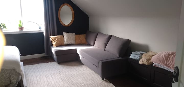 1 Bed Room Near The Universities And Mall - Ottawa