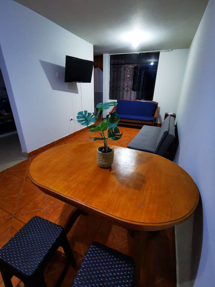 Departamento Del Centro. - Ica