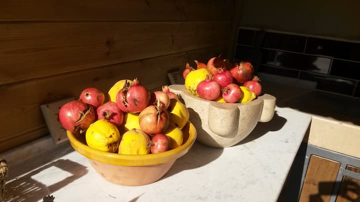 Séjour En Pays D'aix - Sainte-victoire - Trets