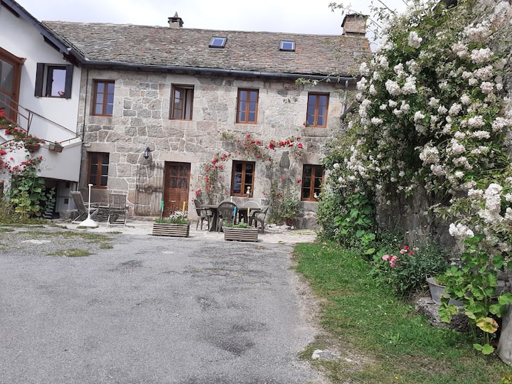 H. Autour Du Chemin De Stevenson - Mont Lozère