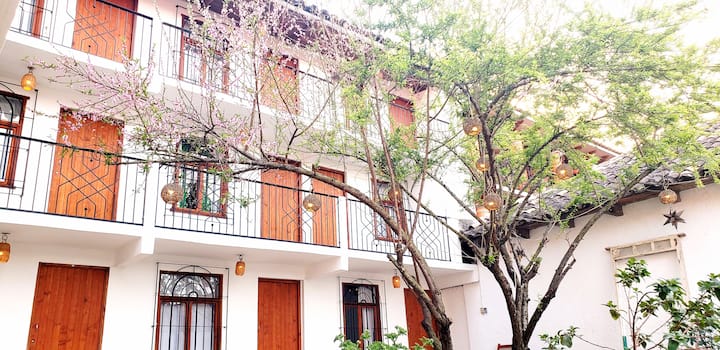 Vive Sancris: Entre Museos, Cafés Y Cultura Local - San Cristóbal de las Casas