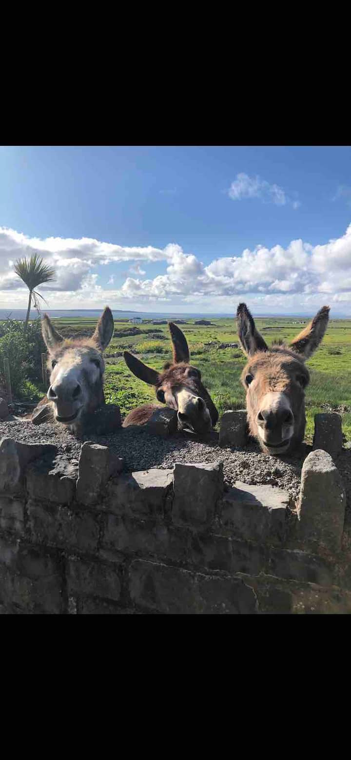 ⭐️ Fantastic Loft Apartment Breathtaking Views ⭐️ - Lisdoonvarna