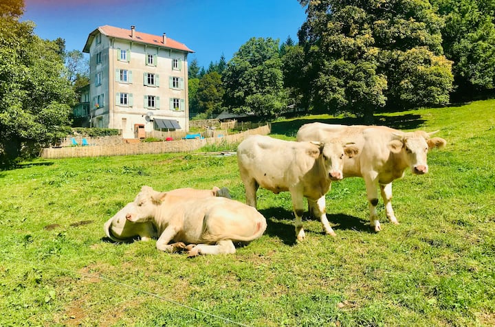 #Le Grand Dehors  « Le Grand Dehors » - Nantua