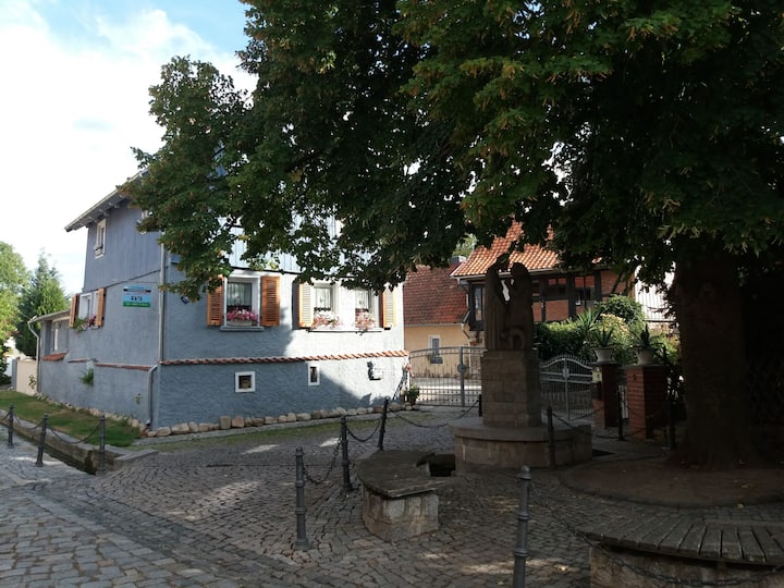 Villa Windschief Thale Harz - Thale