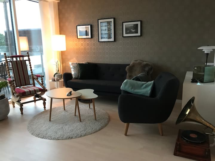 Top Floor @ Modern & Homy Townhouse - Copenhagen