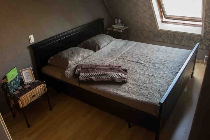 Indonesian Homestay 2 - Close To Schiphol&a'dam - Hoofddorp