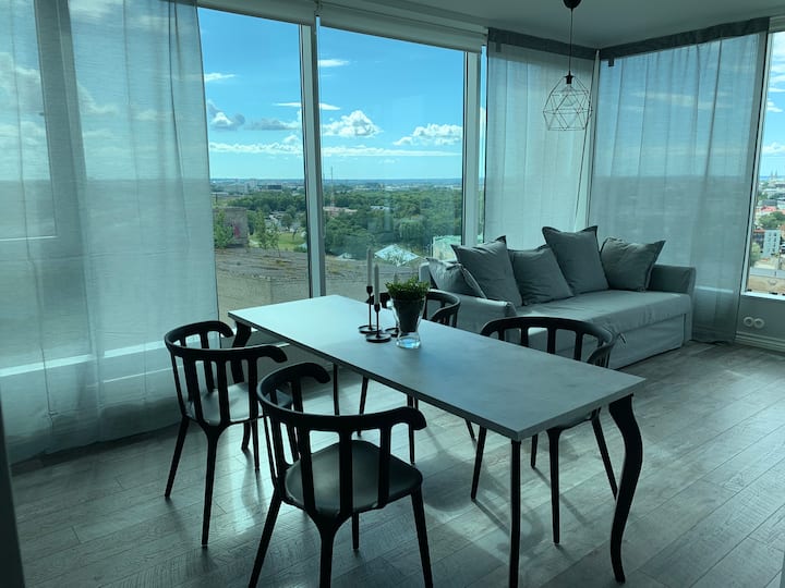 Fahle Luxury Apartment - 塔林