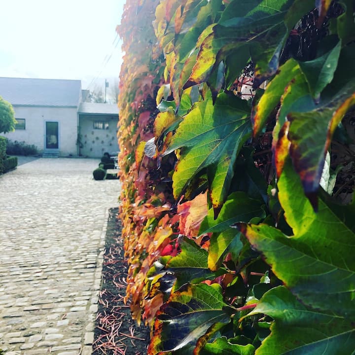 Coup De Foudre à La Ferme - Province de Namur