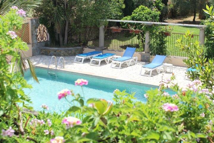 Le Clos Des Oliviers Appart N°10  Piscine Tennis - Corsica