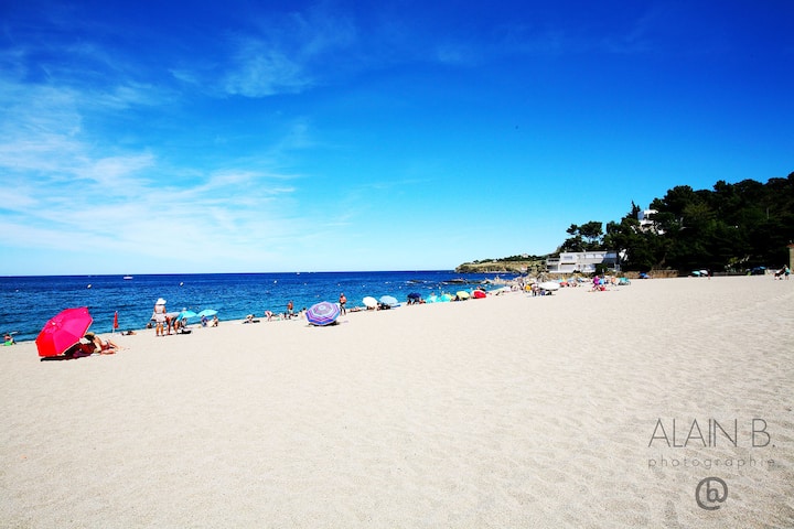 Argelès-sur-mer: Appartement Avec Terrasses. - Sorède