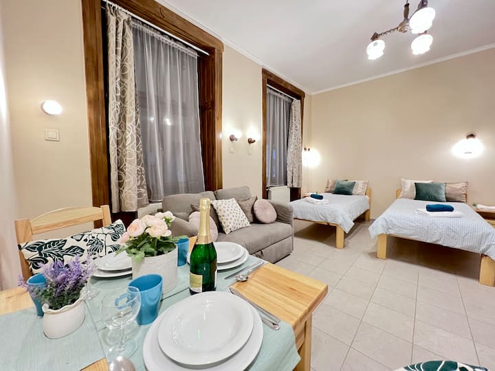 Budapest Cosmopolitan Budget Home Ii. @City Center - 부다페스트