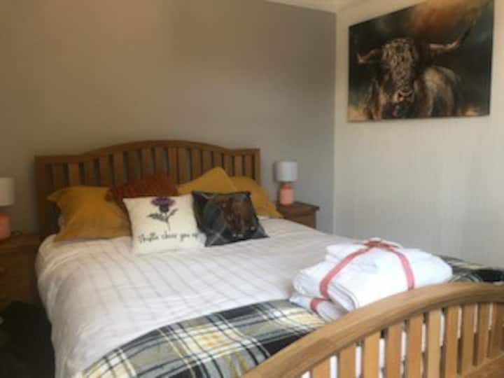 The Cherry Tree In The Heart Of Inverness - インヴァネス