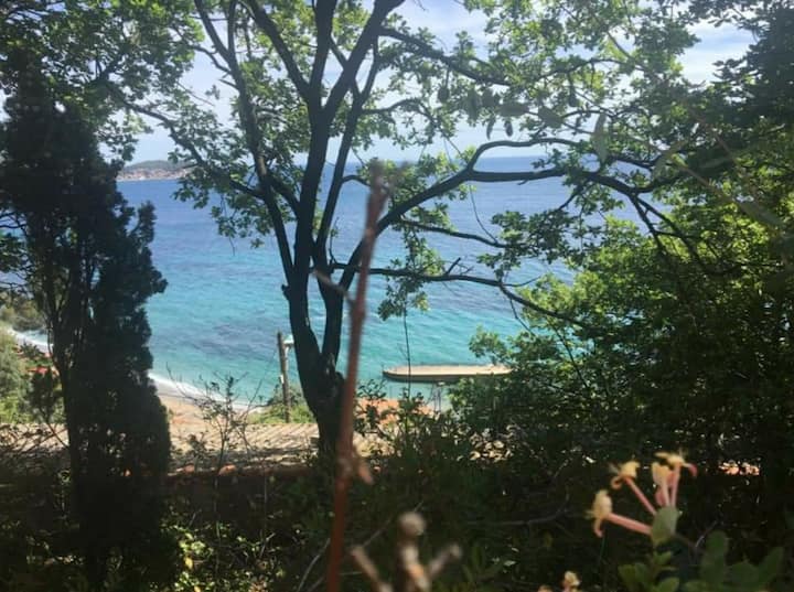 Bel Appartement 2 Ch, Jardin Calme Proche Plages - Le Pradet