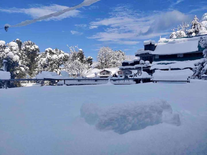 Family Room@hotel Forest - Dalhousie