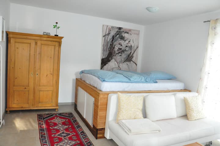 Schickes Apartment Mit Atmosphäre - Heidelberg