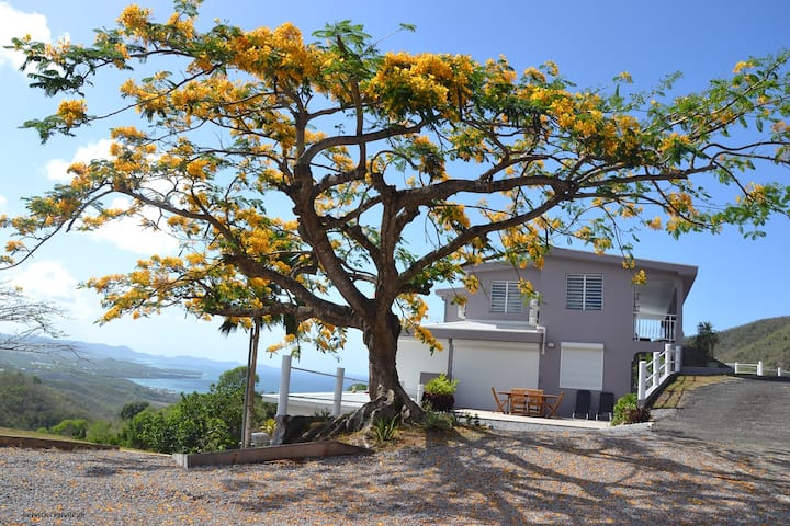 Très Beau T4 Avec Piscine Et Vue Mer Dégagée - Martinique