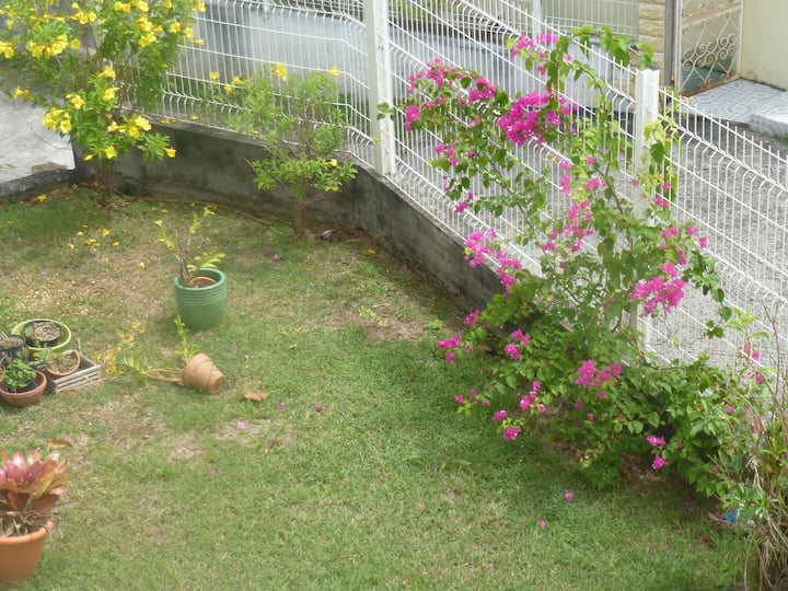 "Surélia" - Martinique