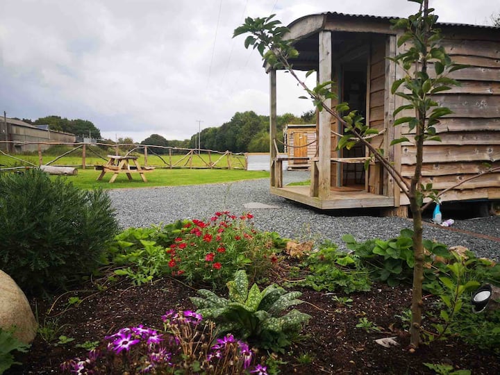 Shepherds Hut Glamping Experience - Llanberis