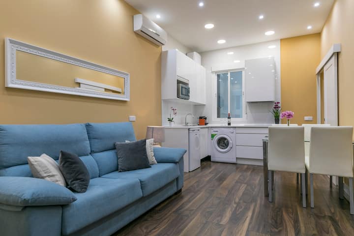 Alquiler Temporal (No Turístico) Centro - Madrid