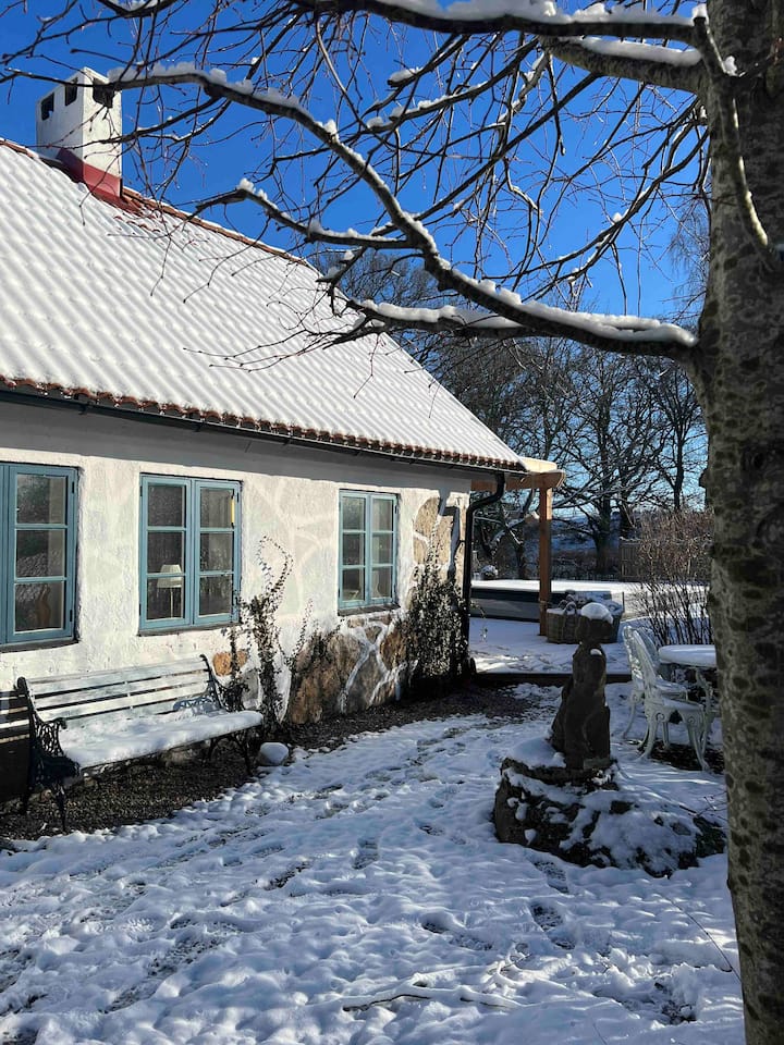 ÖSterlen Xmas : Sleeps 8,sauna, Beaches, Nature - Skåne län