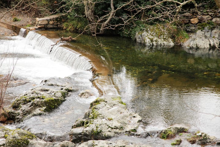 Casas Do Rio // Espaço Rural // Casa Do Quintal - Pampilhosa da Serra