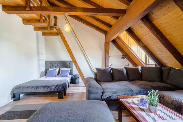 Big Attic Apartment Zurich City -