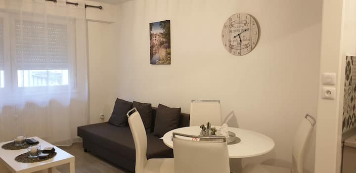 Appartement "La Libellule" - Strasbourg