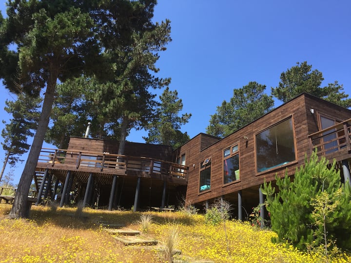 Casa Sector Punta De Lobos A Pasos De La Playa - Pichilemu
