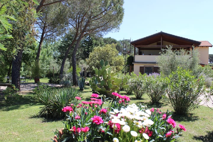 Spacious Apartment In Olive Grove - Gavorrano