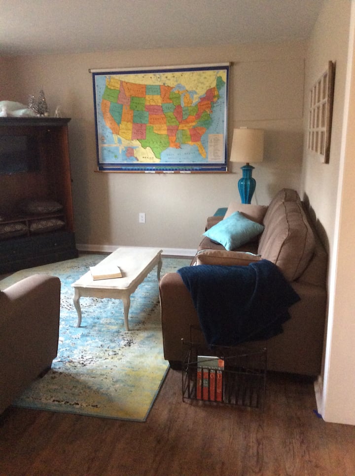 Light Filled Basement Apartment In Nw Akron - Akron, OH