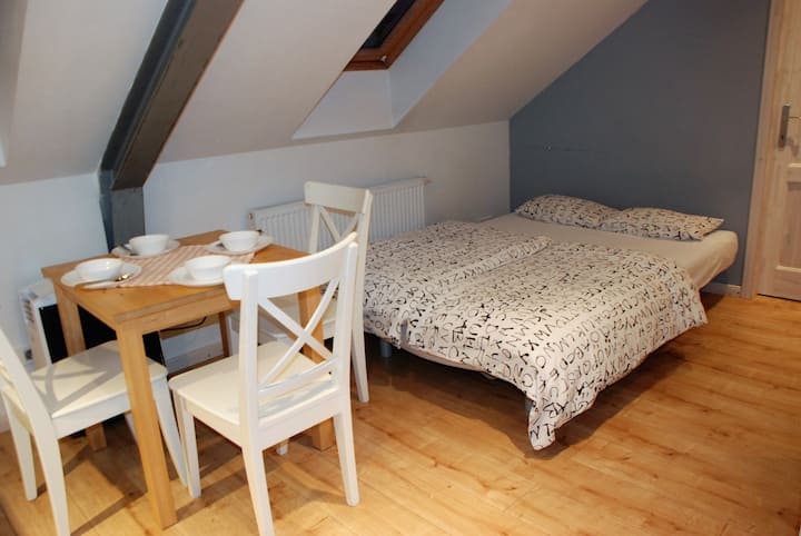 Comfy Apartment + Free Private Parking - Ljubljana