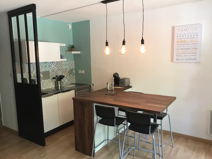 Jolie Studio 30 M2 Moderne Et Tout éQuipé - Allos