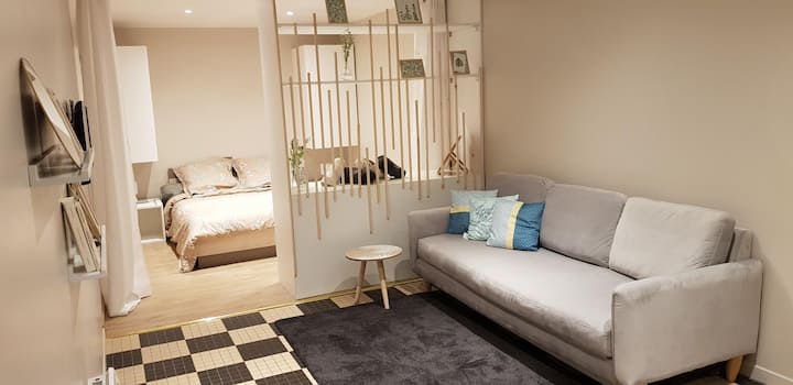 Appartement En Bordure Des Marais - 부르쥬