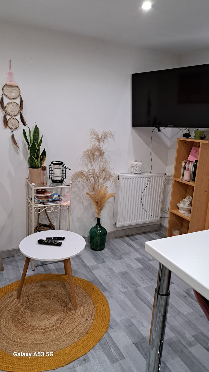 Beau Studio Indépendant Dans Villa - Craponne