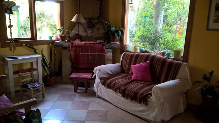 Agradable Casita En El Centro De San Martín... - San Martin de los Andes