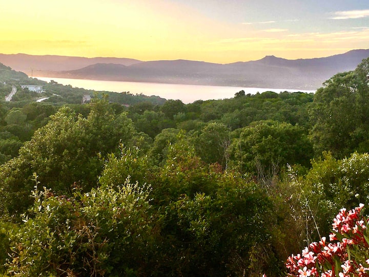 Appartement L'olivier Vue Imprenable Sur Le Golfe. - Belvédère-Campomoro
