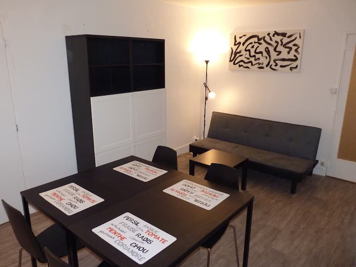 Charmant Calme Fonctionnel Et Wifi - Brest