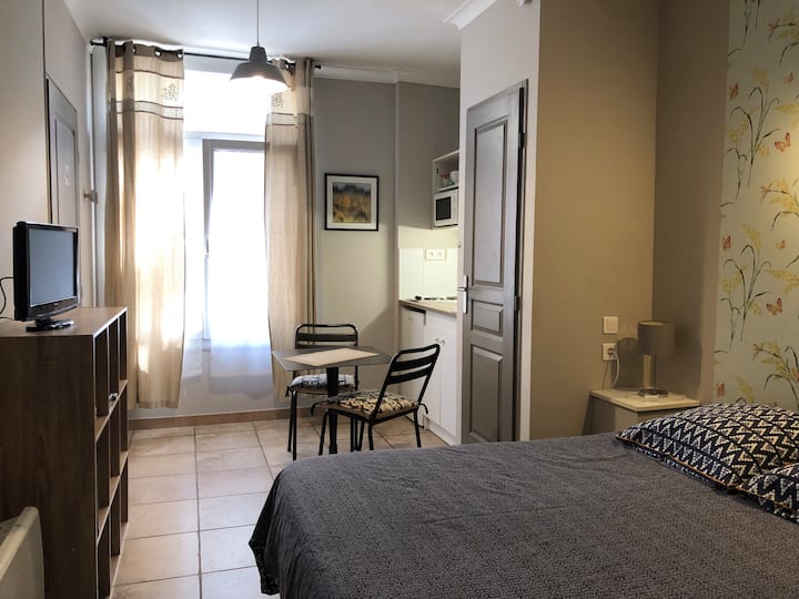 Arles, Studio Rive Droite Du Rhône. - Arles, France