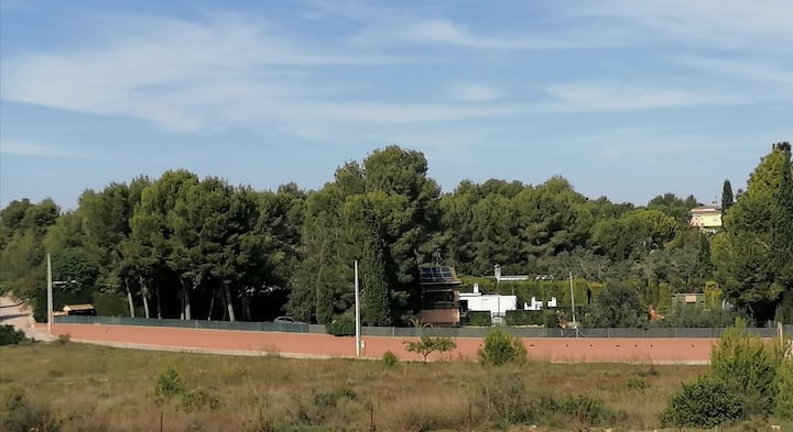Zona De Acampada Exclusivamente Para Las Fechas Del Circuito De Cheste. -