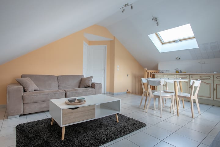 Appartement 2 Pièces Centre Doussard - Doussard