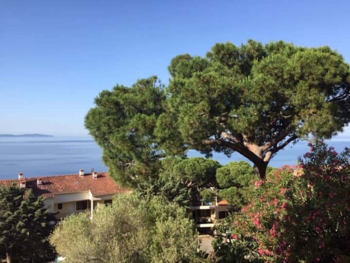 Grand Studio 33m2 Belle Terrasse 16m2 Vue Mer - Ajaccio