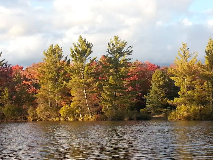 The Muskoka River Homestead - Bracebridge