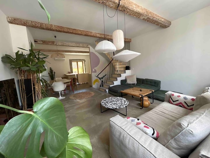 Maison Avec Patio Et Spa Centre Ville - Aude