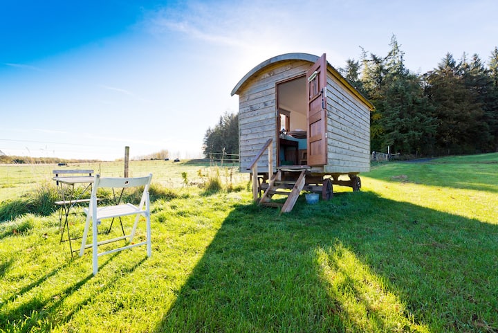 Pine Shepherd's Hut (2-man Wagon) - Navan