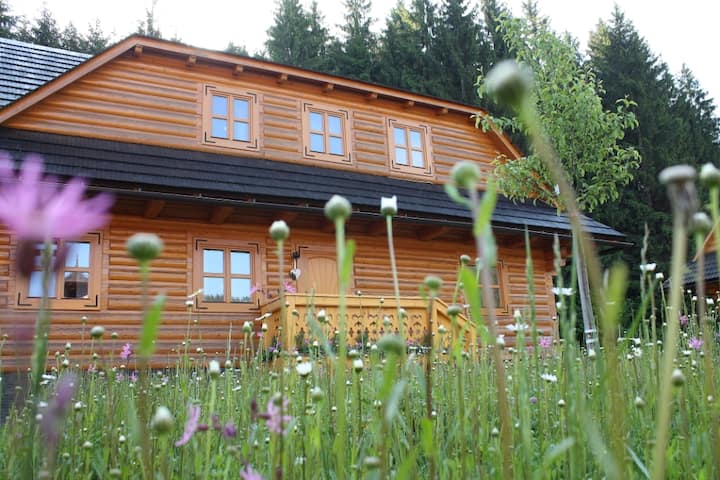 Drevenica Pri Hájenke - Slowakei