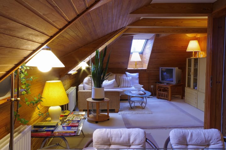 Cosy Accommodation, 15mins From Downtown. - 漢堡