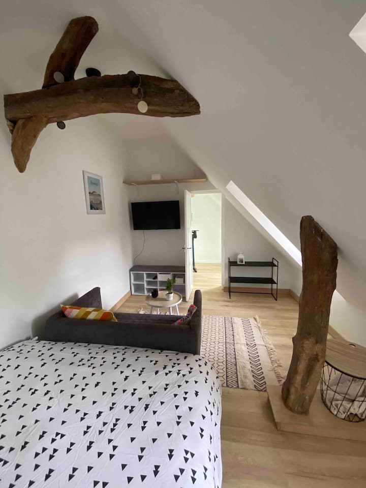 Studio De Charme Rénové En Centre Ville Historique - Rennes