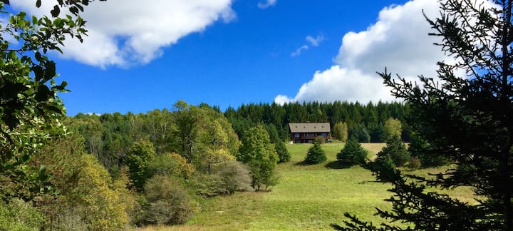 House On 100 Private Acres: Fields, Forest, Pond - Davenport, NY