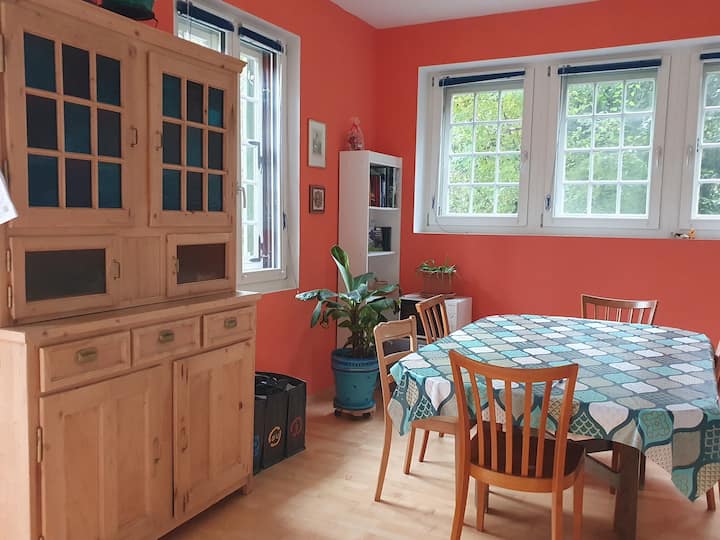Zentralgelegene Wohnung Mit Grossem Garten - Interlaken